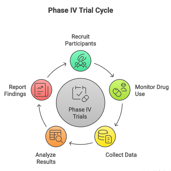 Understanding Phase IV Clinical Trials: Therapeutic Use and Post ...