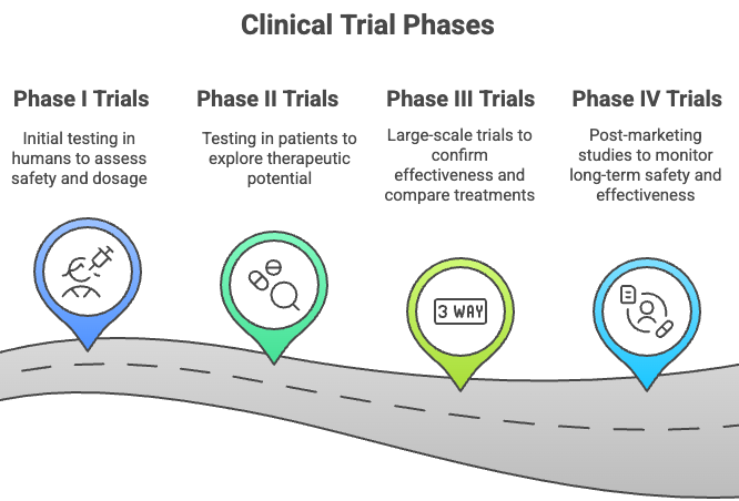 Understanding Clinical Trial Phases: Your Guide to Clinical Research